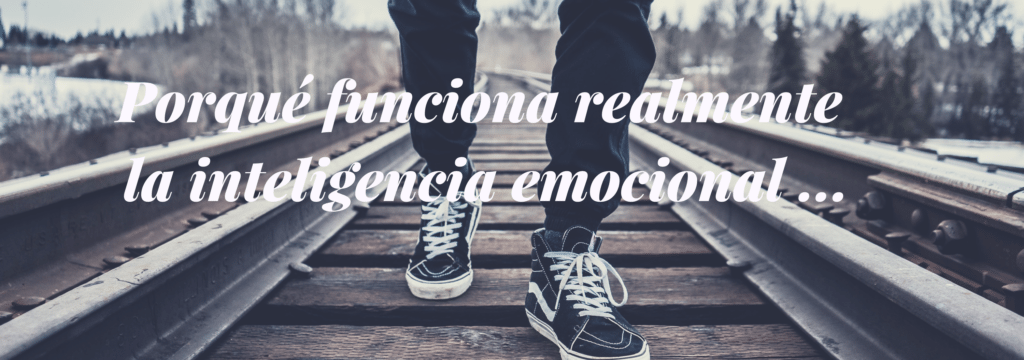 ¿Funciona realmente la inteligencia emocional? – Six Seconds