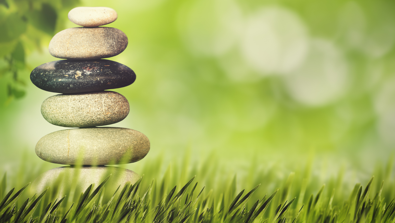 Six Seconds Red de Inteligencia Emocional – Six Seconds