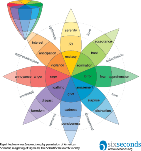 Rueda de las Emociones de Plutchik: Comprende Tus Emociones – Six Seconds